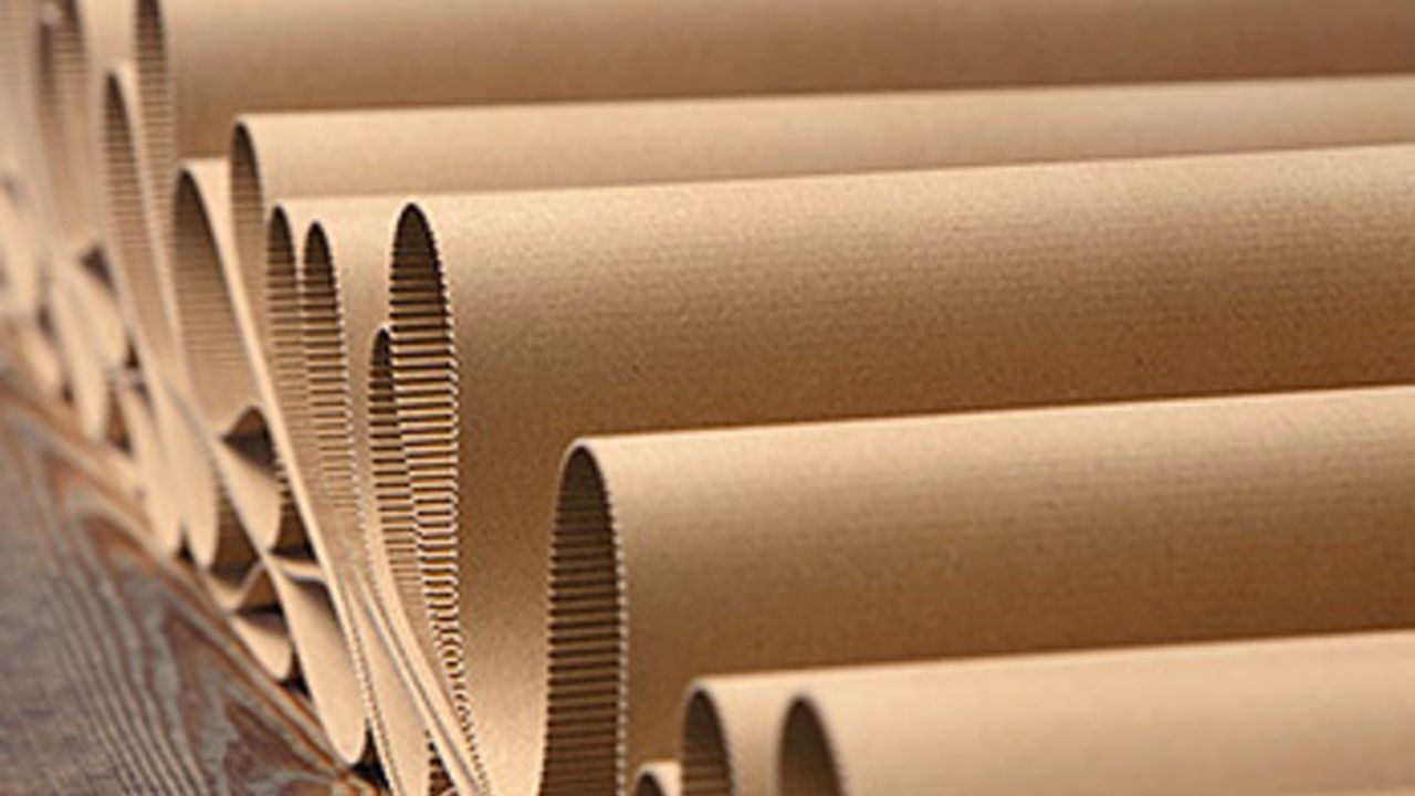 Kaschierwellpappe: Palm Gruppe