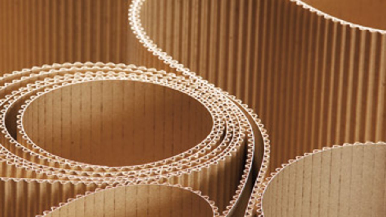 Wellpappe: Palm Gruppe