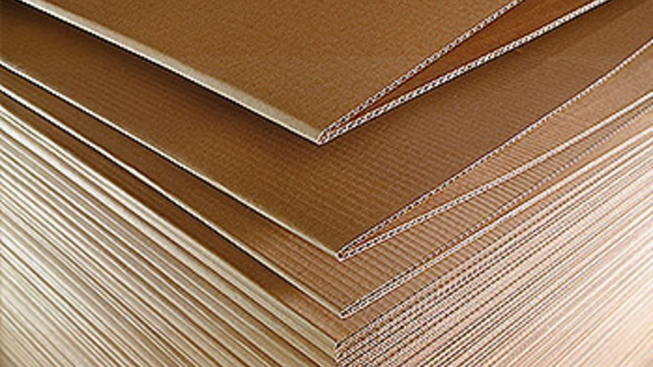 Fanfold Corrugated: Palm Gruppe